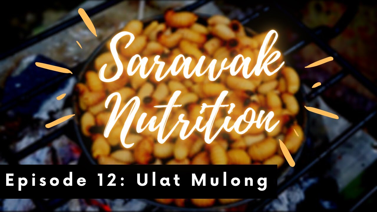 Sarawak Nutrition Episode 12 - Ulat Mulong - YouTube