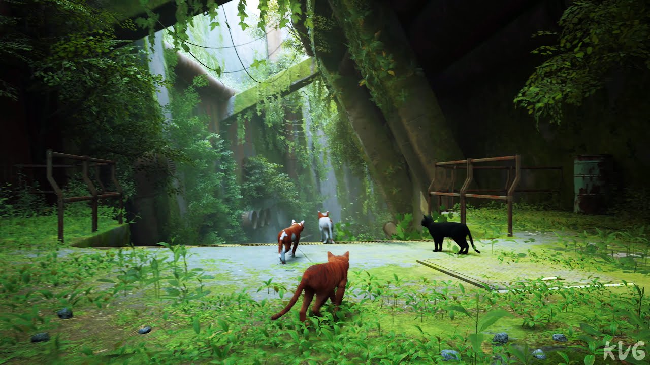 Stray Gameplay (PC UHD) [4K60FPS] - YouTube