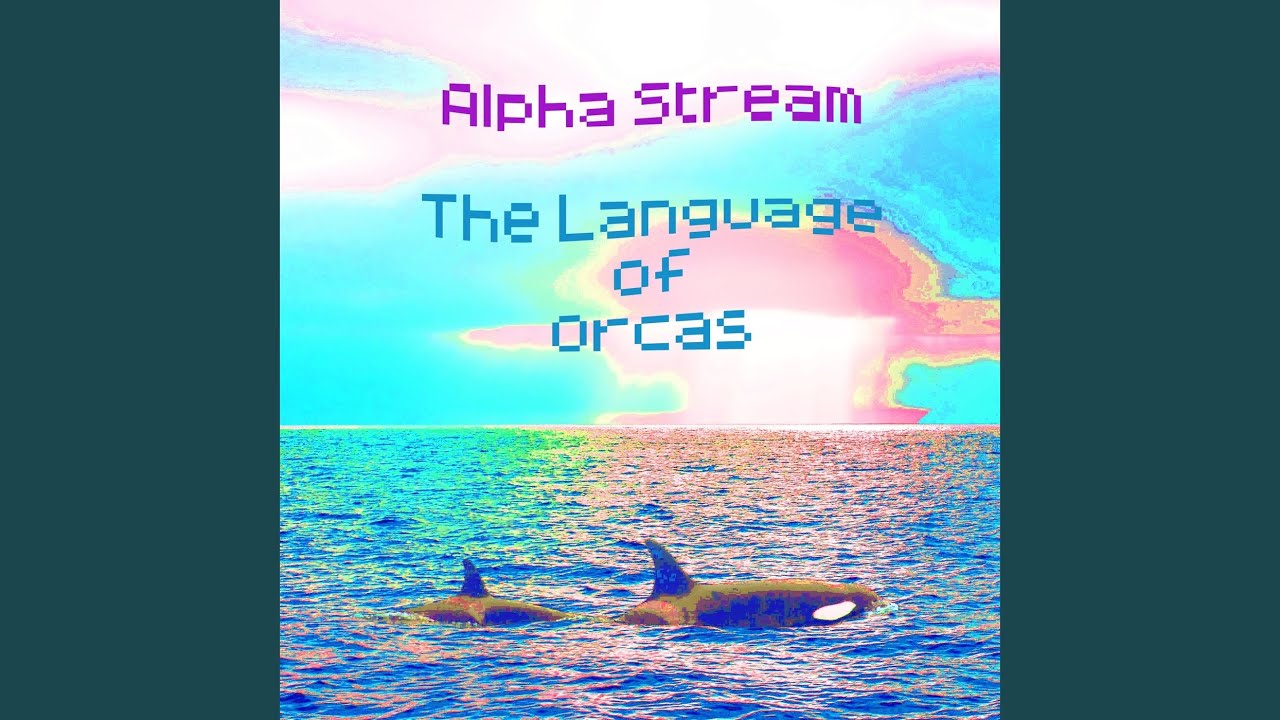 The Language of Orcas - YouTube