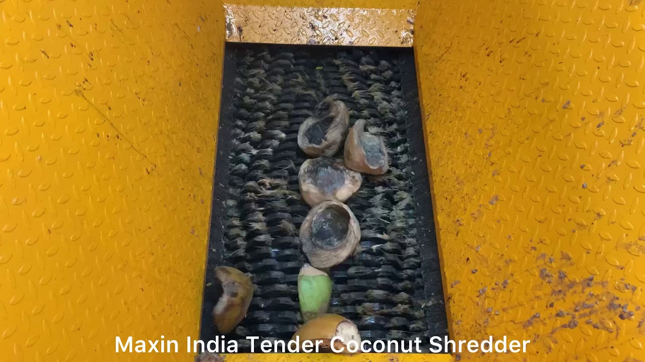 Tender coconut Shredding, Tender Coconut Crushing, Tender Coconut ...