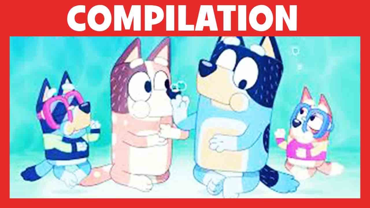 Bluey - Compilation des meilleurs sorties avec papa - YouTube