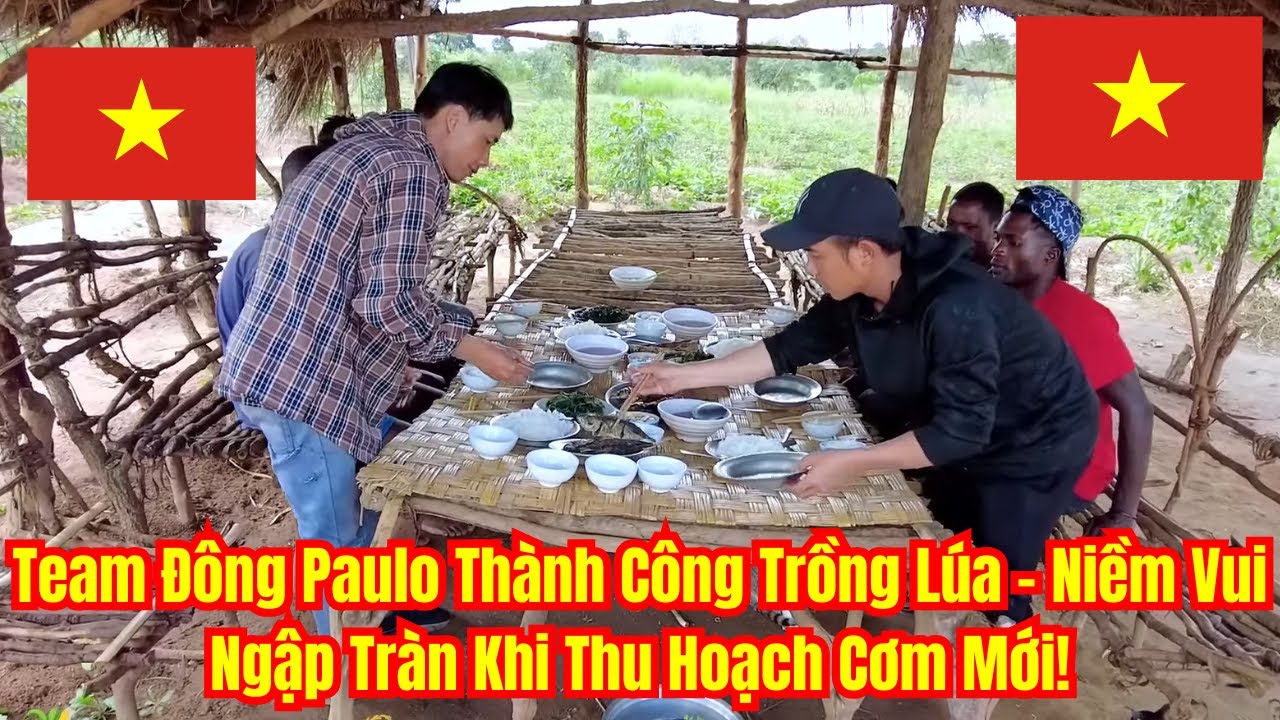 Team Đông Paulo Thành Công Trồng Lúa – Niềm Vui Ngập Tràn Khi Thu Hoạch Cơm Mới! - YouTube