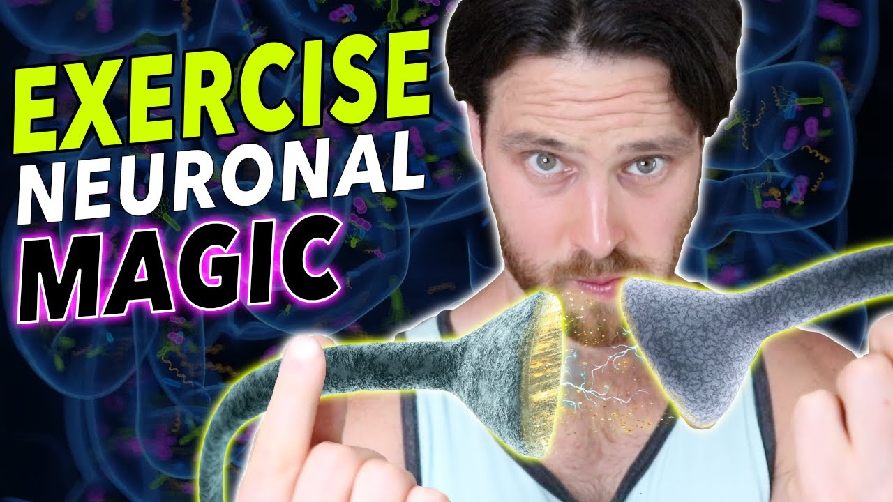 A NEW WAY Exercise is Magic for Brain Longevity | Adult Born Neurons ...