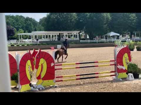 Rebel & Taylor Flury 1.2m - YouTube