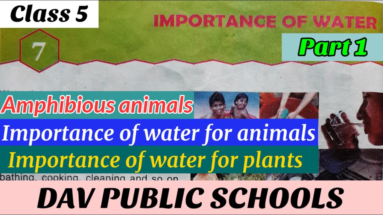 DAV Class 5 Science Chapter 7 Importance Of Water Part 1 YouTube DAV Class 5 Science Chapter 7 Importance Of Water Part 1 YouTube