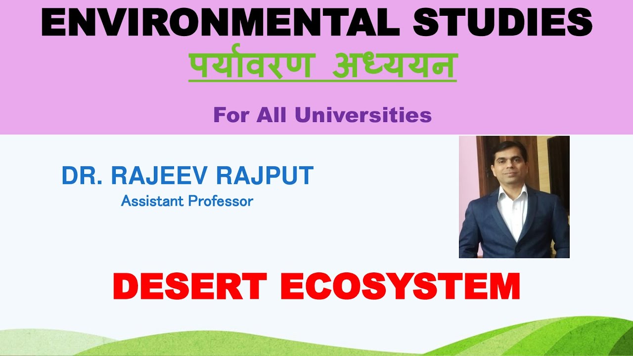 Desert Ecosystem | Environmental Studies - YouTube