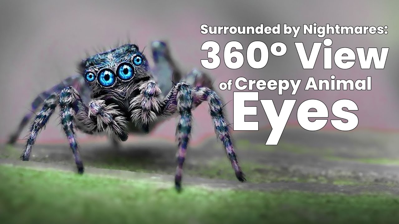 "Surrounded by Nightmares: 360° View of Creepy Animal Eyes" - YouTube