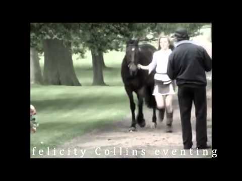 {FELICITY COLLINS EVENTING} - YouTube