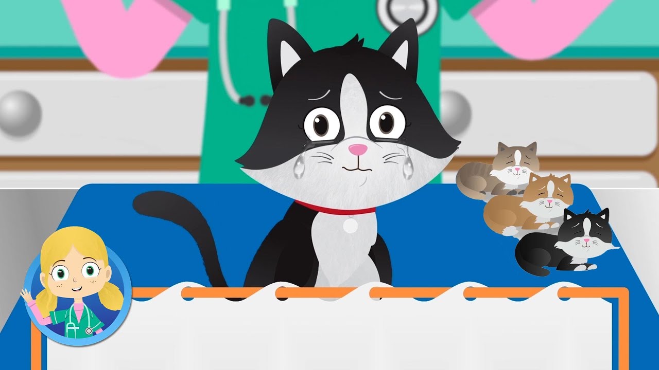 Sarah the Cat gives birth! | Doctor Poppy's Pet Rescue | Animals For ...