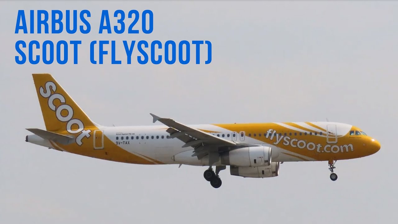 Airbus A320 232 Scoot (FlyScoot) - Yellow Beauty Airplane Landing - Máy ...