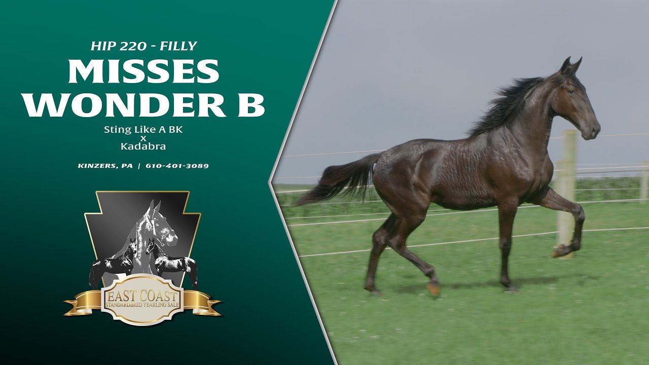 # 220 Sting Like A BK- Kadabra ( filly. @ECSYS - YouTube