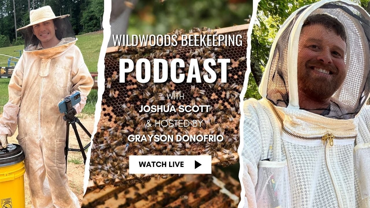 WILDWOODS BEEKEEPING CHAT with JOSHUA SCOTT - YouTube