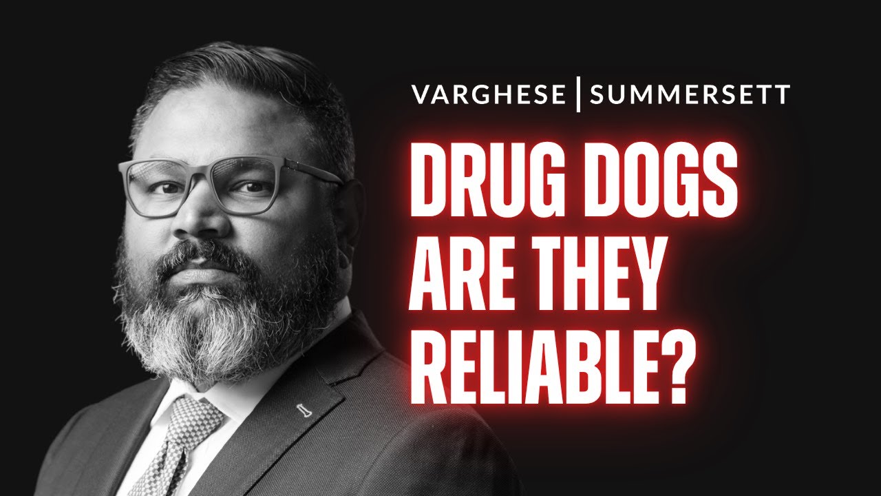 Unleashing the Truth: The Reliability of Drug Dogs in Criminal Cases ...