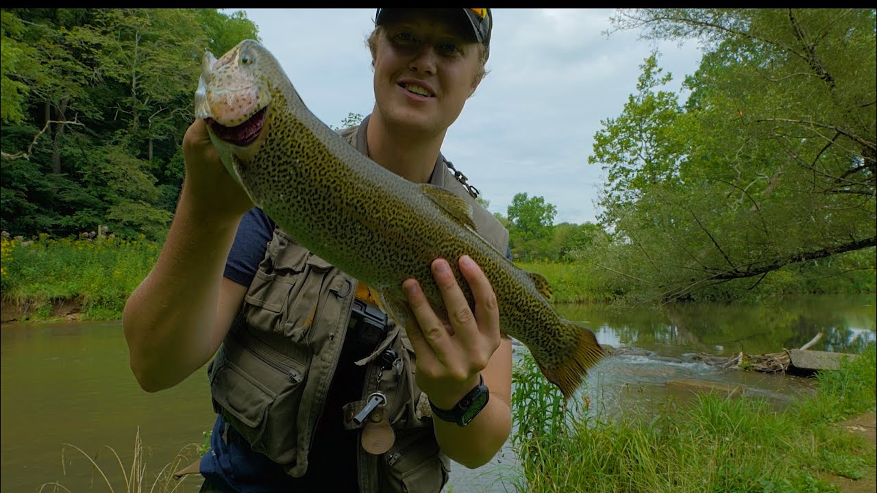 Fishing for Giant Trout at Cripple Creek, VA | Catch and Cook! (Pt.4 ...