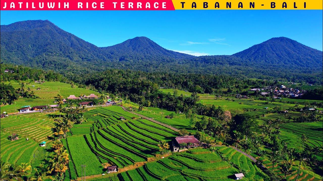 JATILUWIH RISE TERRACES BALI || Menikmati Sunrise Dengan Pemandangan Hamparan Sawah Yang Memukau ...