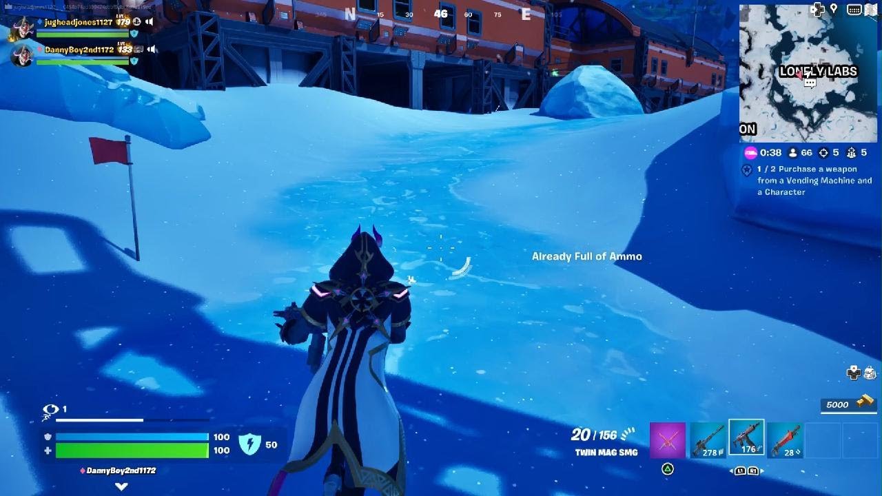 Fortnite Chapter 4 Stray Twins 3rd - YouTube