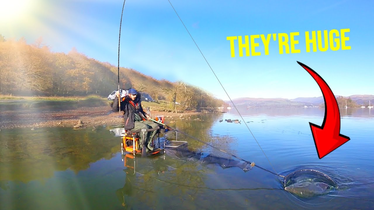 WINDERMERE FEEDER FISHING REVEALED! - YouTube