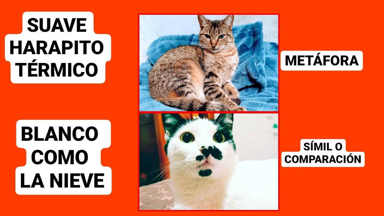 Ejemplos De Poemas Similes Para Niños Tipos De Figuras Literarias