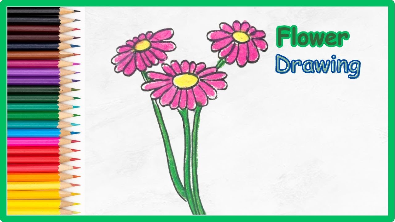 Daisy Flower Drawing|| How to draw Daisy Flower step by step || Daisy ...