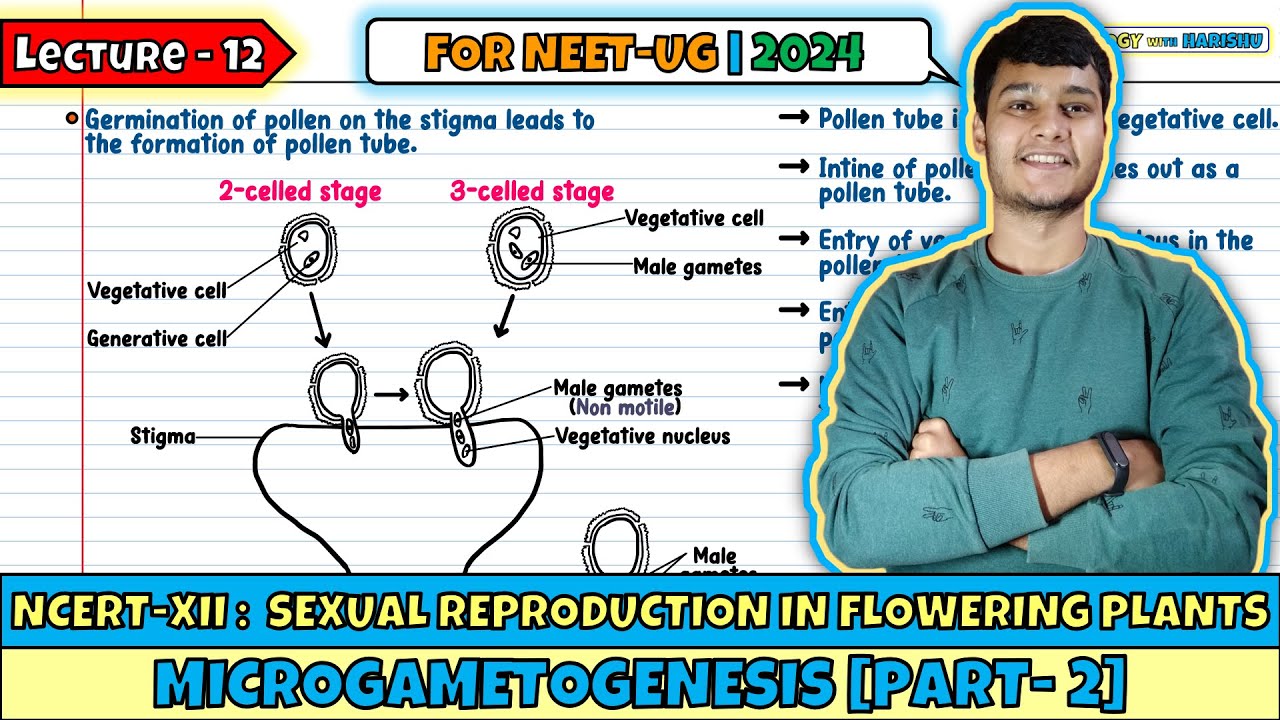 Lec 12- Microgametogenesis [Part- 2]| Sexual Reproduction in Flowering ...