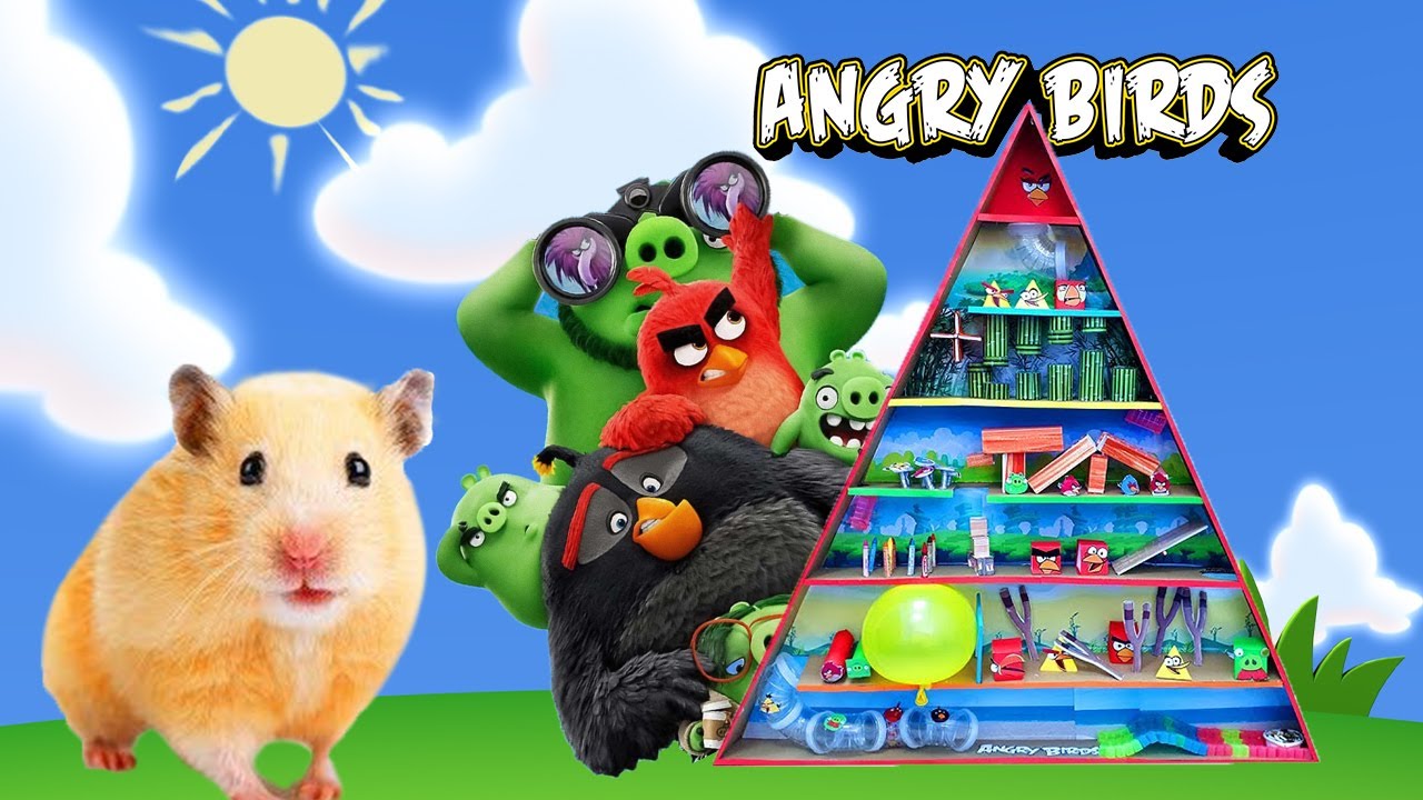 Hamster in a 7-Level Angry Birds Maze | Vertical Maze - YouTube