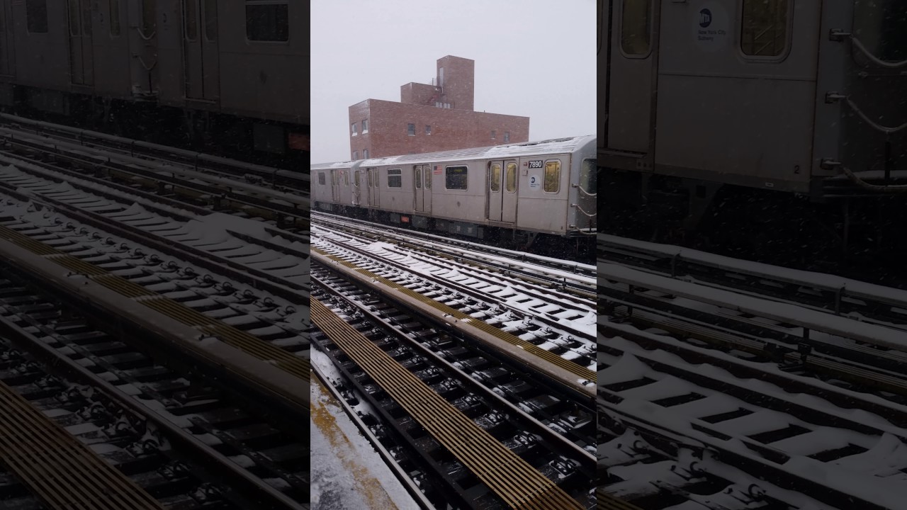 Tren 7 corona queens. - YouTube