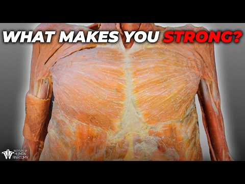 The Most Important Thing You Can Do To Build Strength