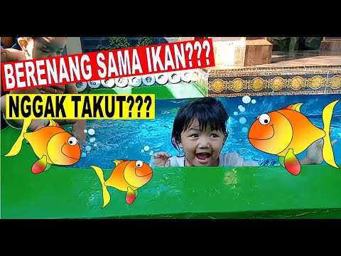 BERENANG SAMA IKAN??? Keseruan Keluarga Muruke Mindahin Ikan ke ...