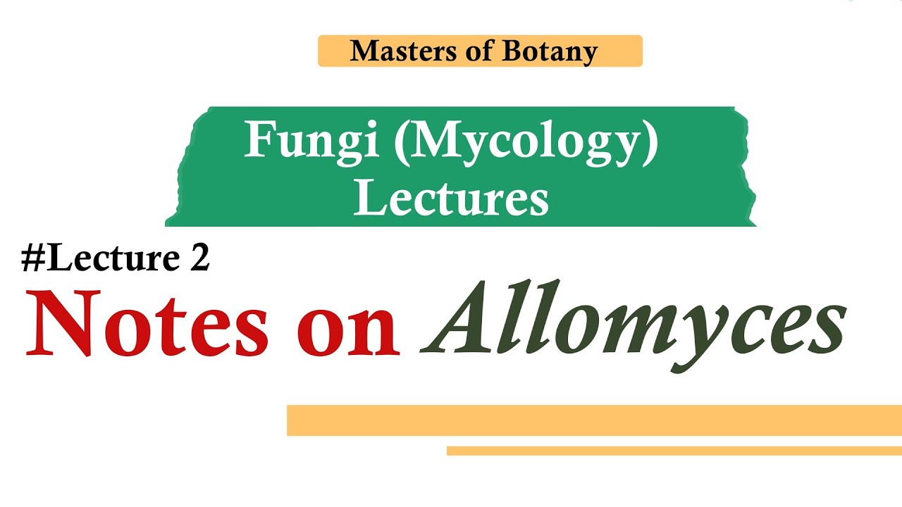 Lecture 2 | Allomyces | Fungi (Mycology) Lecture + Notes - YouTube