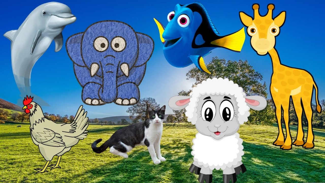 Animal sounds, cows, monkeys, horses, goats, dogs, cats, pigs, chickens ...