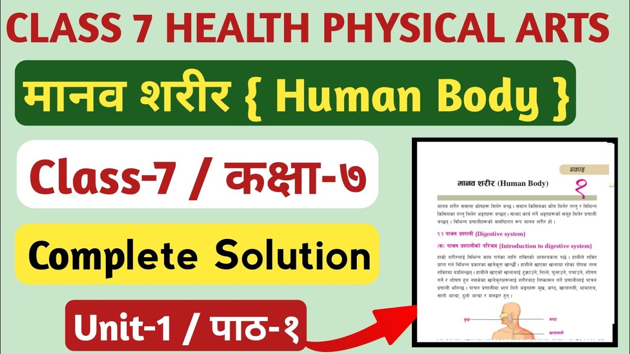 Class 7 Health Physical and Creative Arts Chapter 1 Human Body Excerise ...