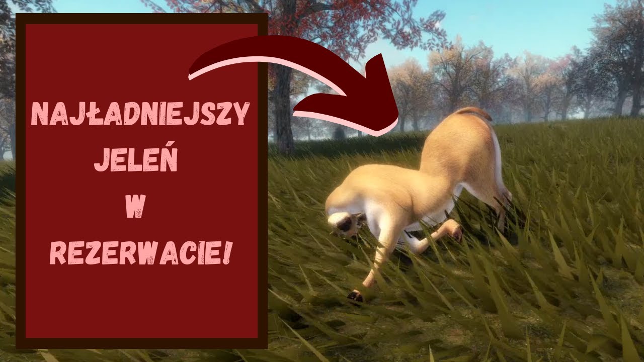 ROBLOX #641 - Najpiękniejsza gra w roblox! ~ Hunting Season [BETA] #1 ...