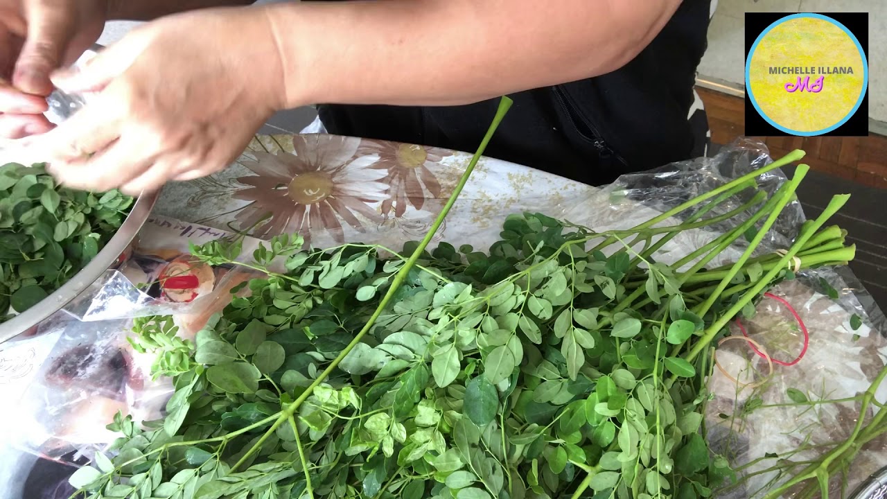 PAGHIHIMAY NG MALUNGGAY - YouTube