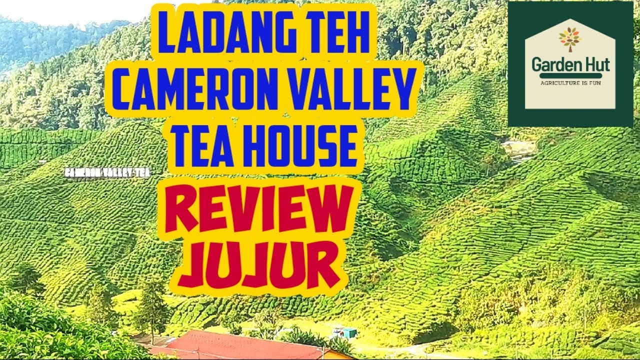 #cameronhighlands Ladang Teh Cameron Valley Tea House Review Jujur # ...