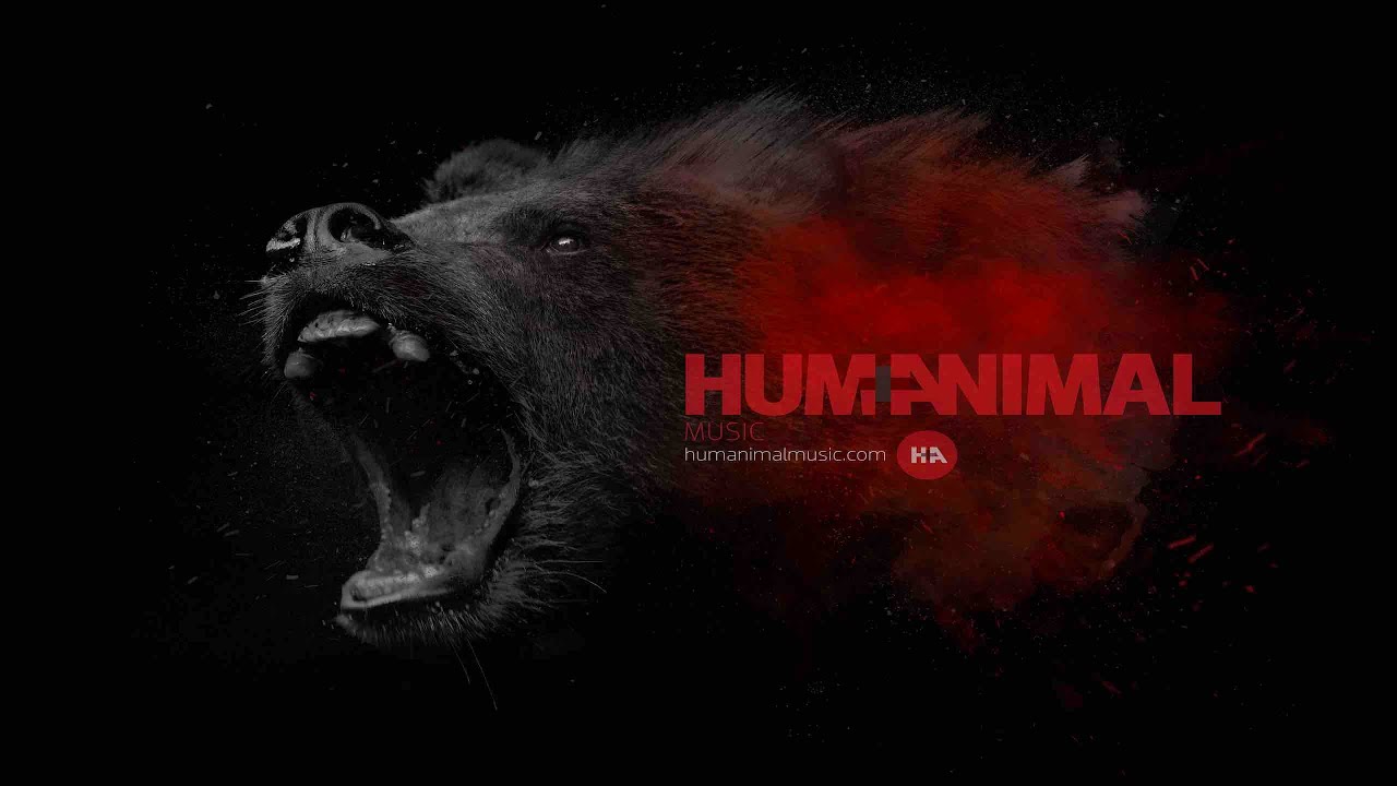 HUMANIMAL Music (Reel 2020) - YouTube