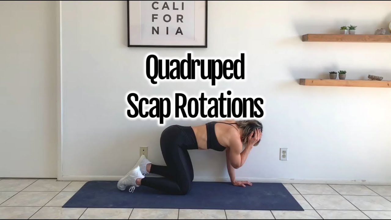 Quadruped Scap Rotations - YouTube