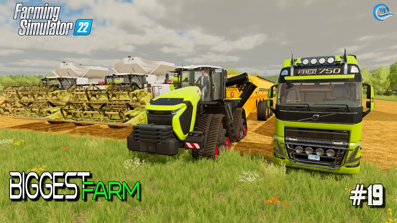 Harvest Big Quantity Of Soybeans by CLASS VEHICLES | #19 | # ...