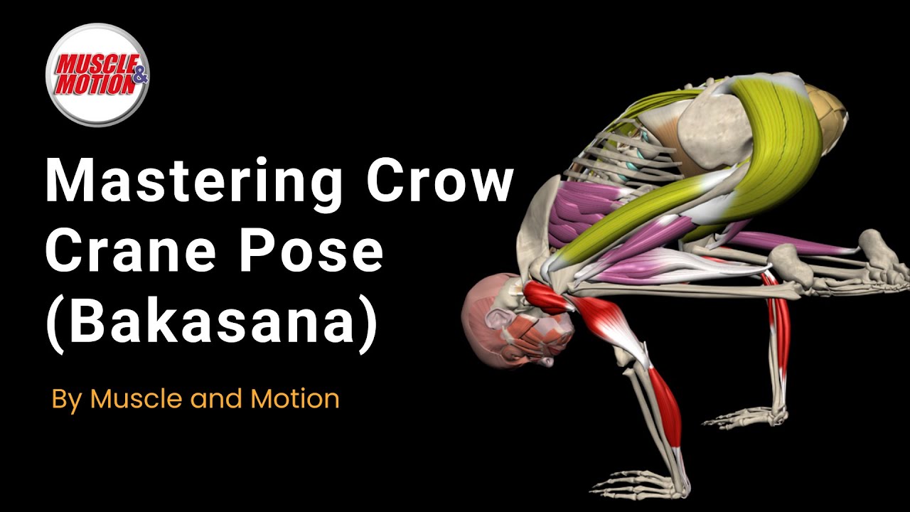 Mastering Crow Crane Pose (Bakasana): A Step-by-Step Guide - YouTube