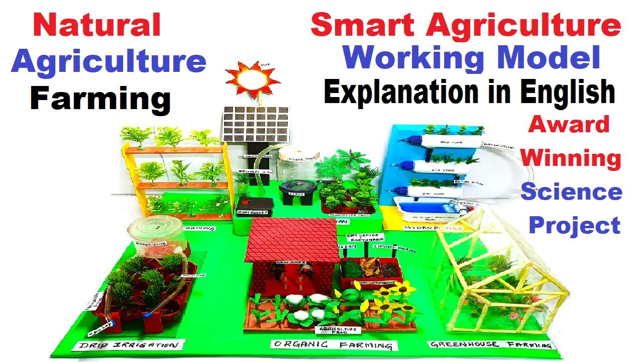 agriculture working model (hydroponics - solar - greenhouse - drip ...