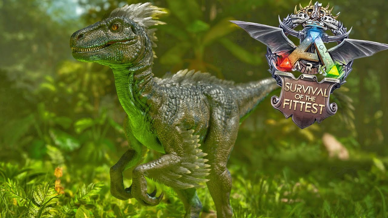 ARK Survival of the Fittest : ARK Noob PVP : ARK SOFT #29 - YouTube