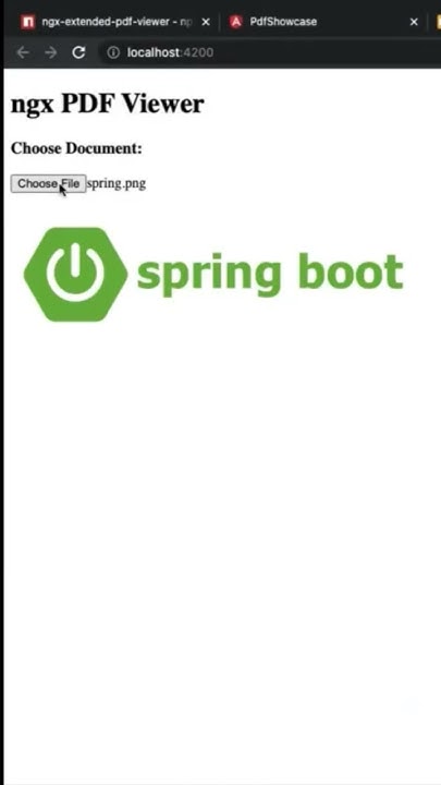 ANGULAR: Upload PDF and Images | Angular 14 Ngx Extended PDF Viewer # ...