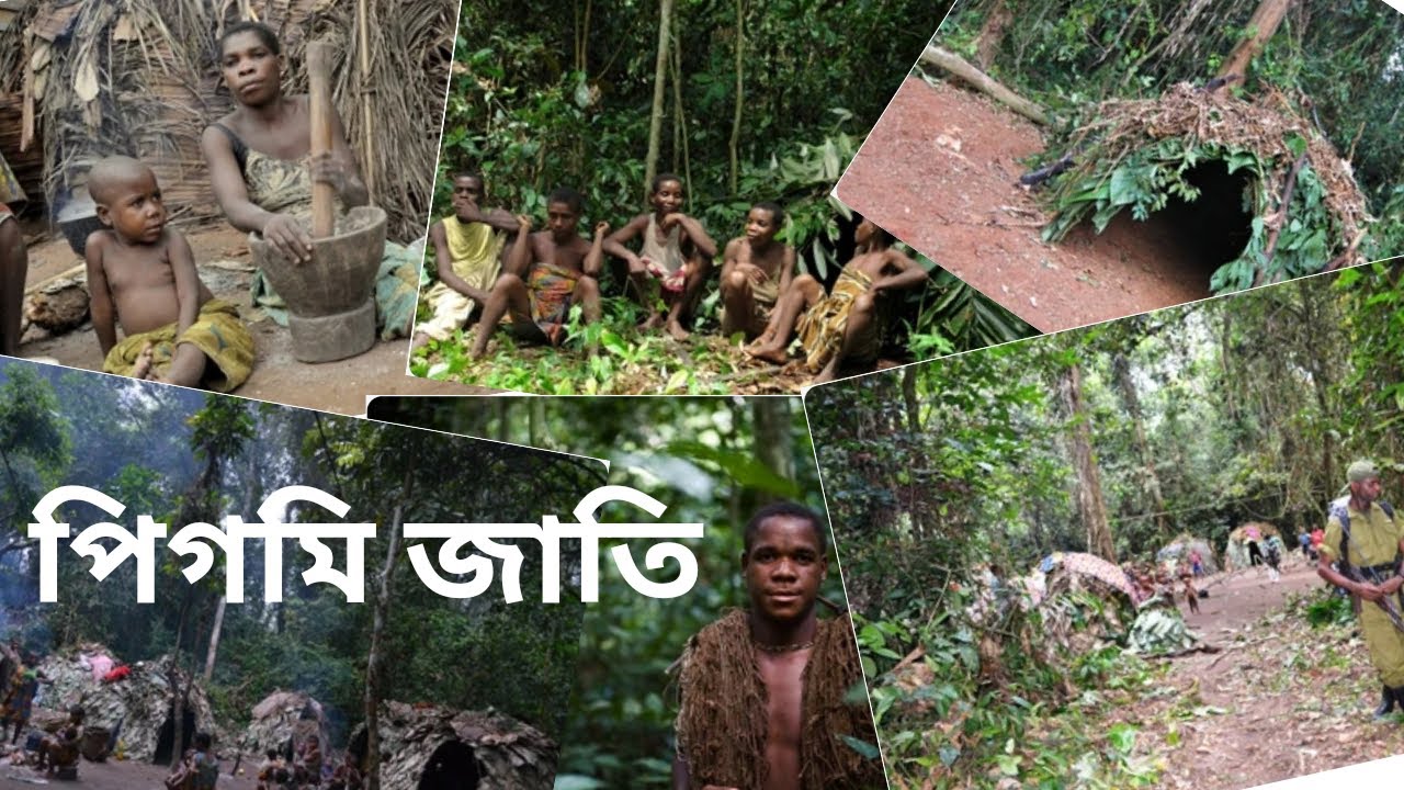পিগমি - Pygmy - YouTube