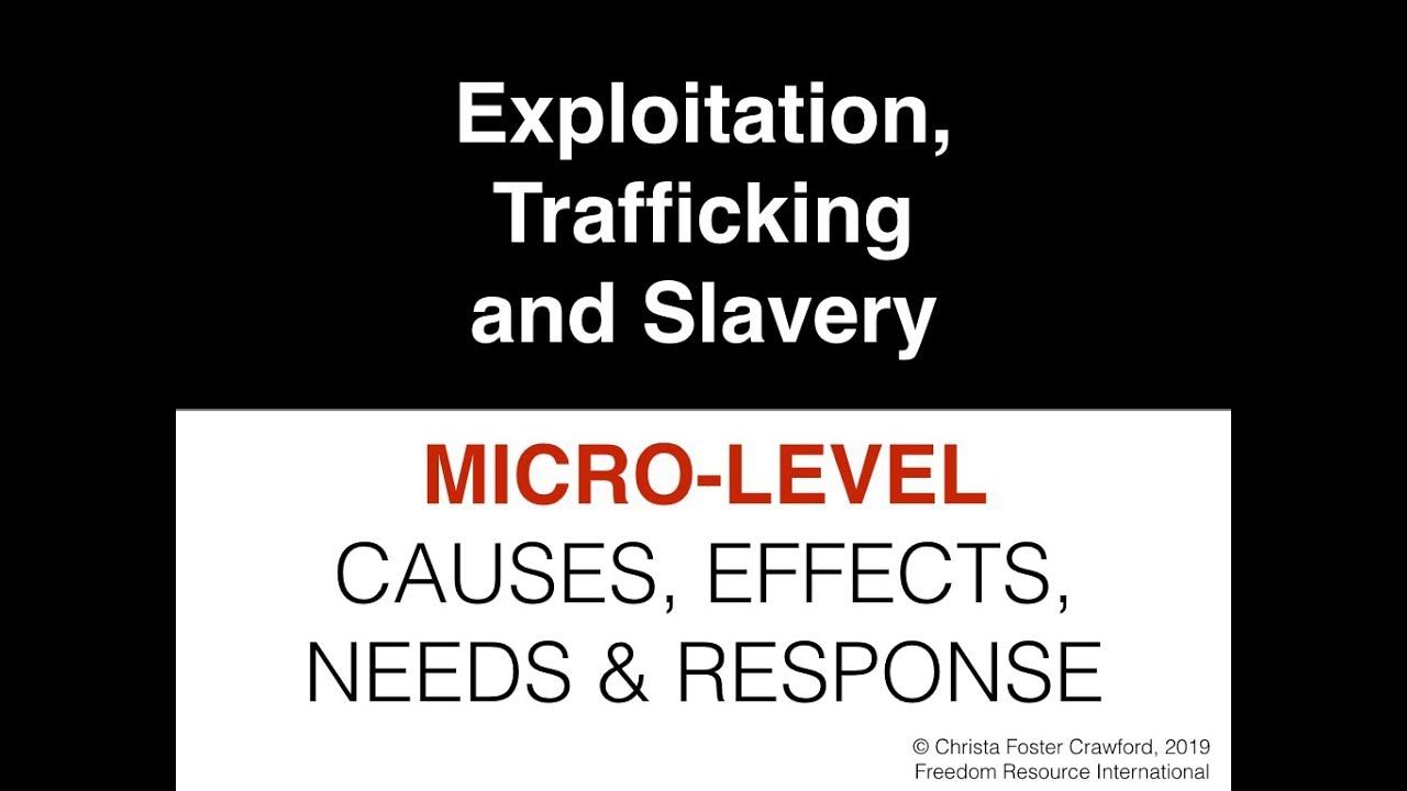 Micro-Level Causes, Effects, Needs & Response - YouTube