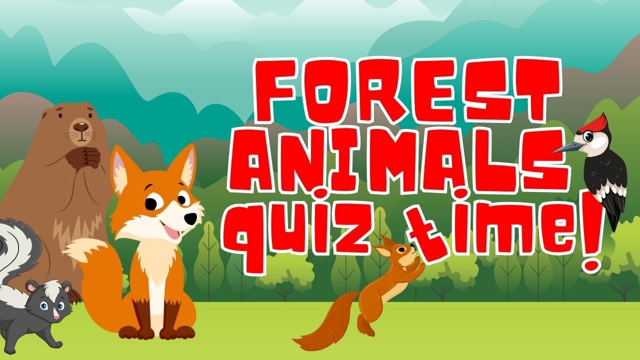 ESL Kids: Forest Animals with Ally the owl | Fun and Educational Quiz # ...