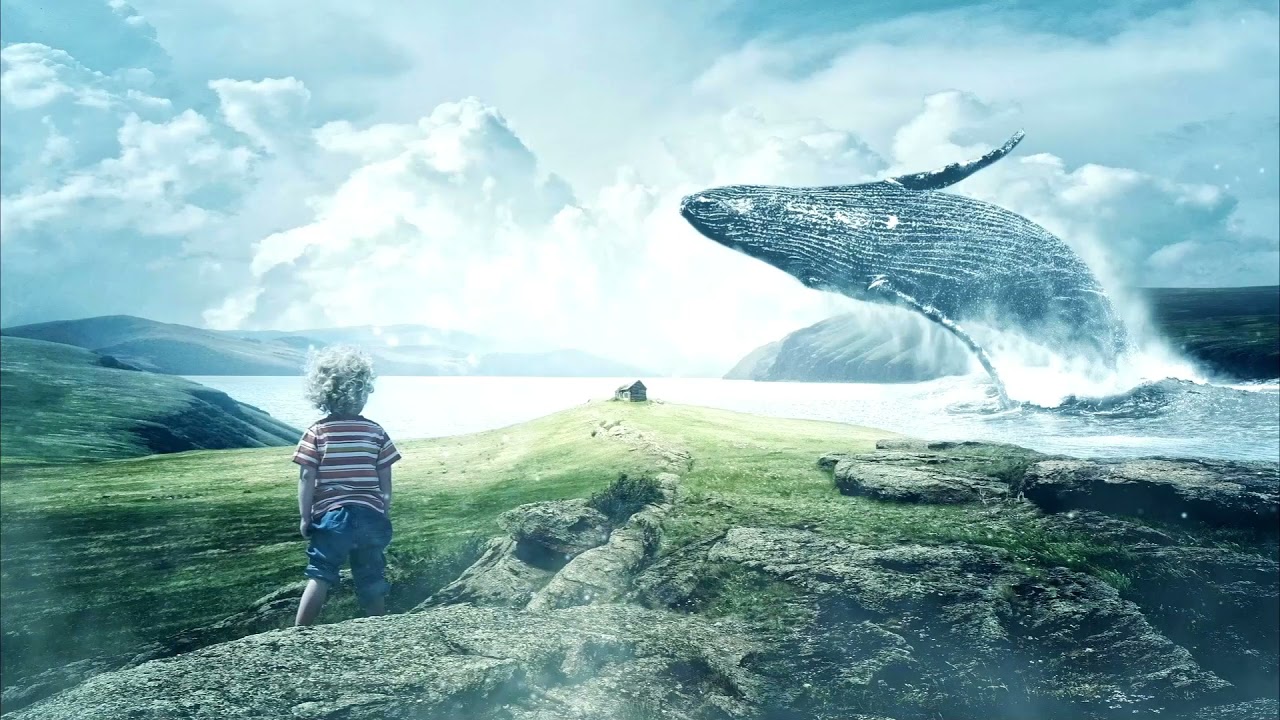 Carbon Based Lifeforms - Hello from the children of planet earth - YouTube