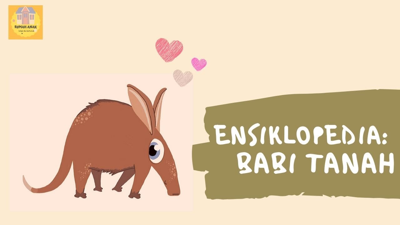 ENSIKLOPEDIA MINI HEWAN; BABI TANAH - YouTube