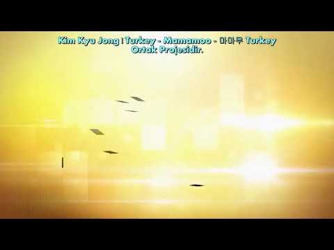 Start Love | Kore Dizisi | Türkçe Altyazılı | 2. BÖLÜM