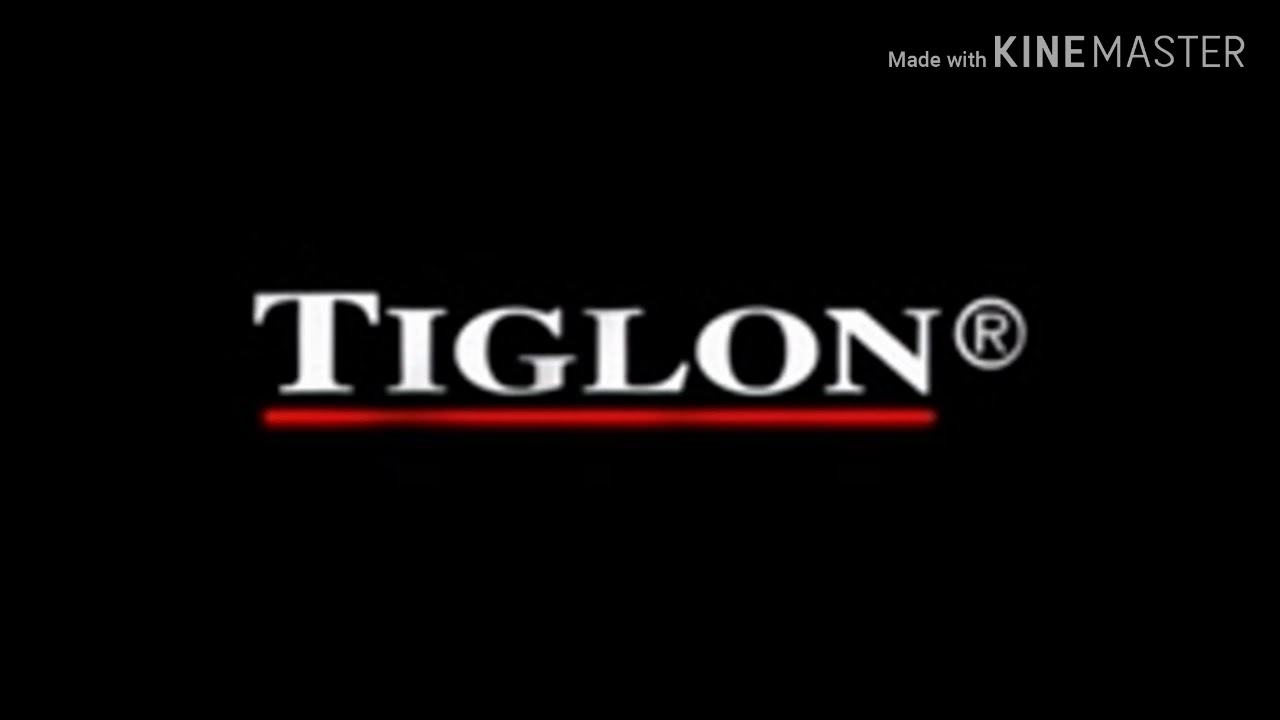 Tiglon Film Logo (End Credits) - YouTube