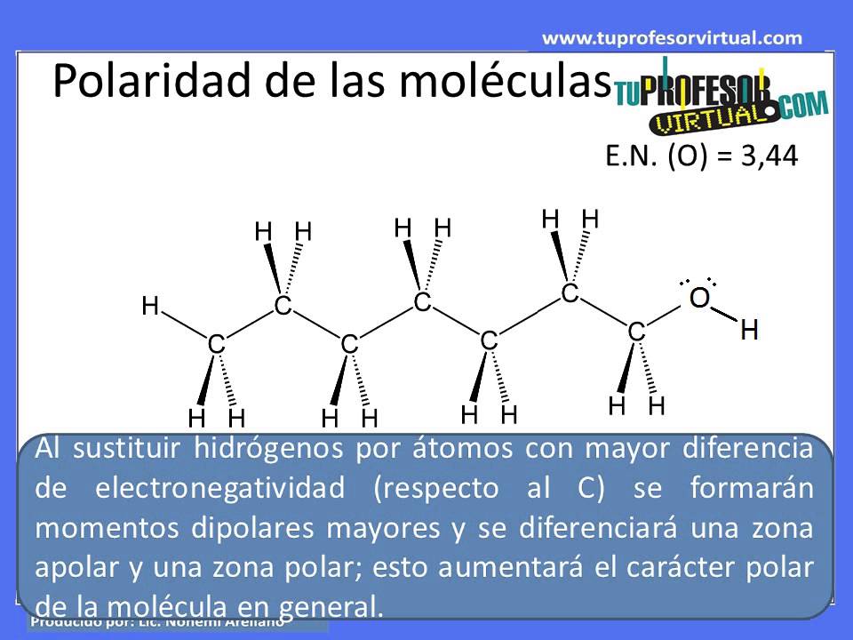 Polaridad de las moléculas orgánicas - Lección Teórica - YouTube