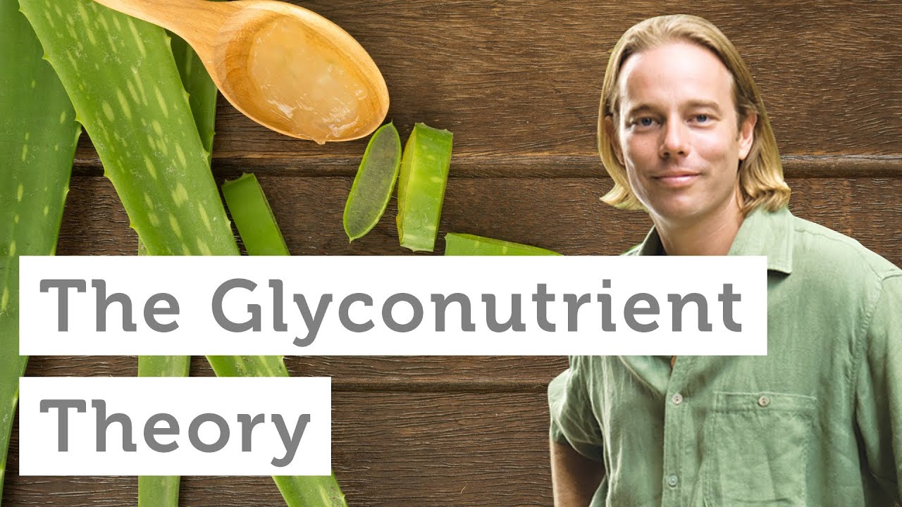 What Is the Glyconutrient Theory? - YouTube